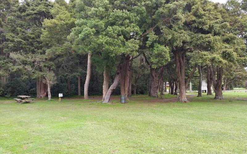 Ashhurst Domain Campground | Freedom/Basic Camp | New Zealand